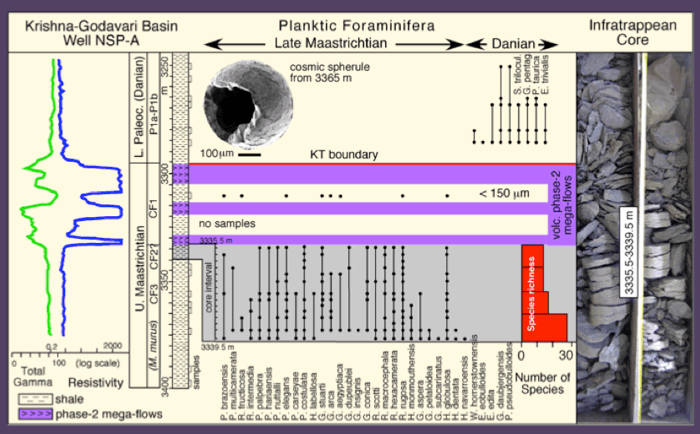 4. Mass Extinction and Deccan Mega-Eruptions | Gerta Keller, Professor ...